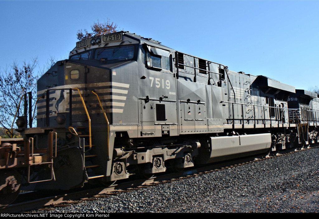 NS 7519